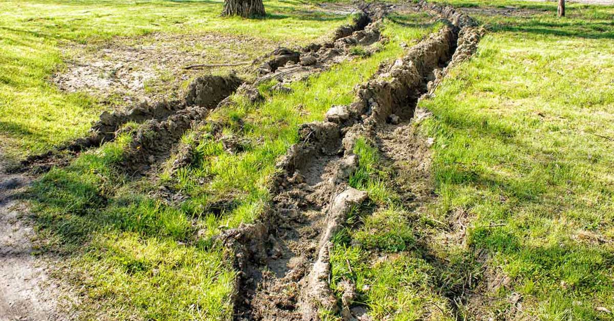 Dealing With Ruts In Your Lawn - SSC Services For Education