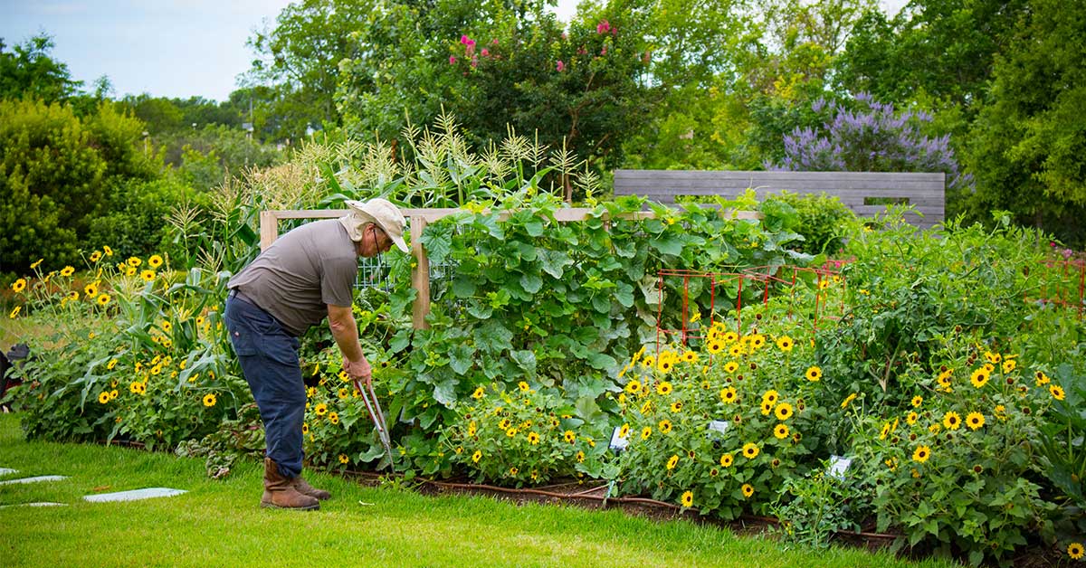 Creating Green Schools | SSC Sustainability Initiatives